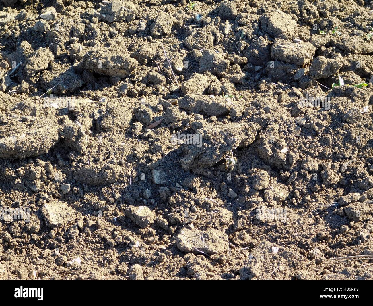 Texture of earth Stock Photo - Alamy