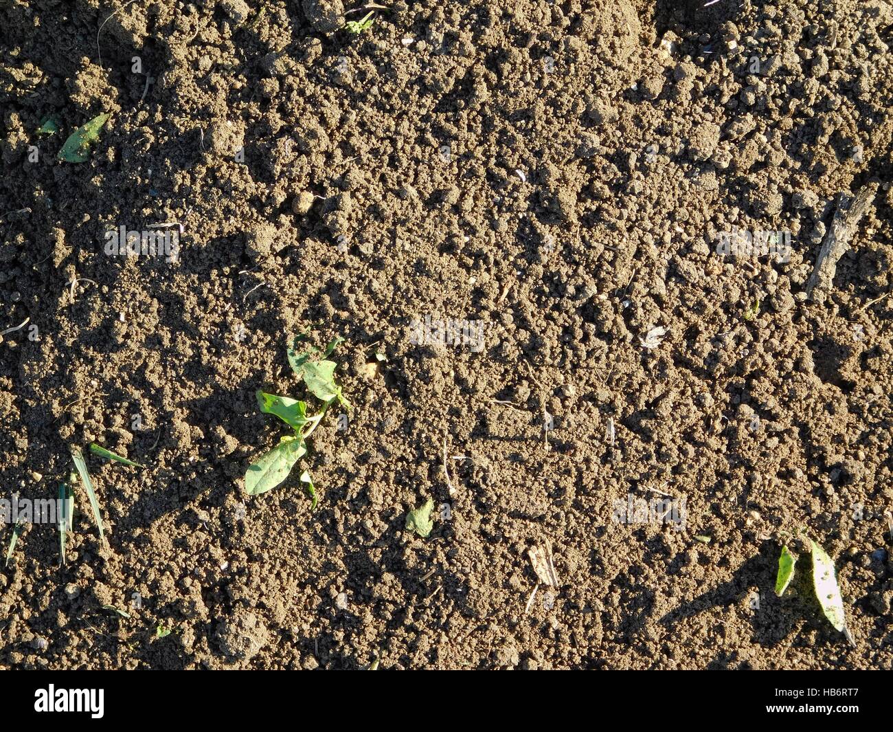 Texture of earth Stock Photo - Alamy