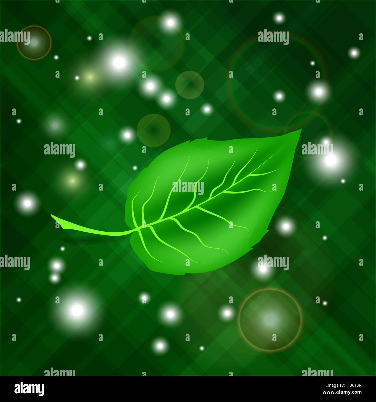 Spring Green Leaf Stock Photo - Alamy