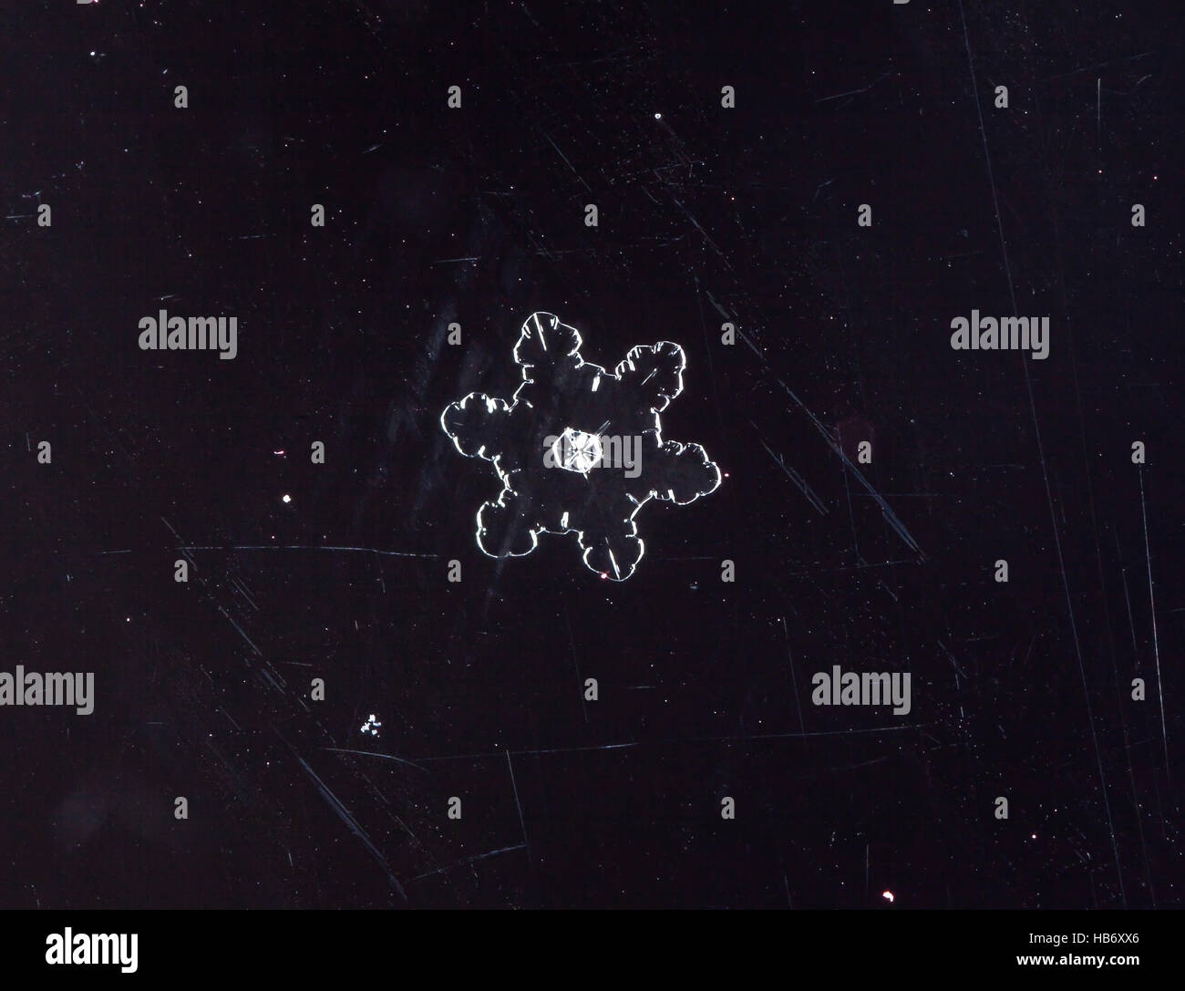 natural snowflakes, photo real snowflakes during a snowfall, under ...