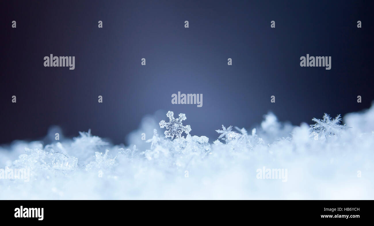 natural snowflakes, photo real snowflakes during a snowfall, under ...