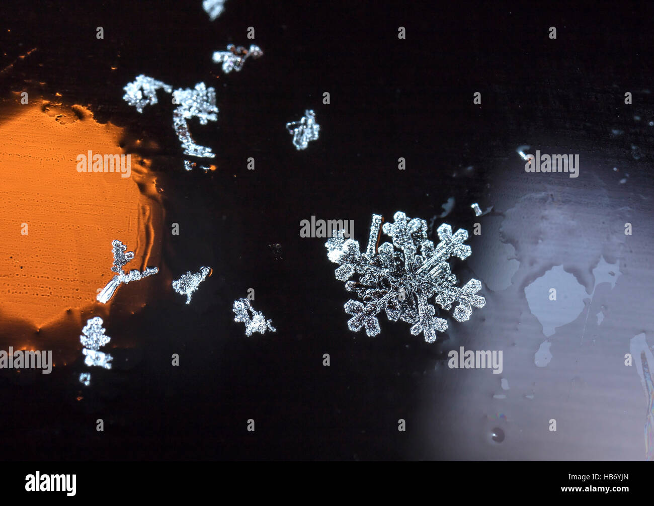natural snowflakes, photo real snowflakes during a snowfall, under ...