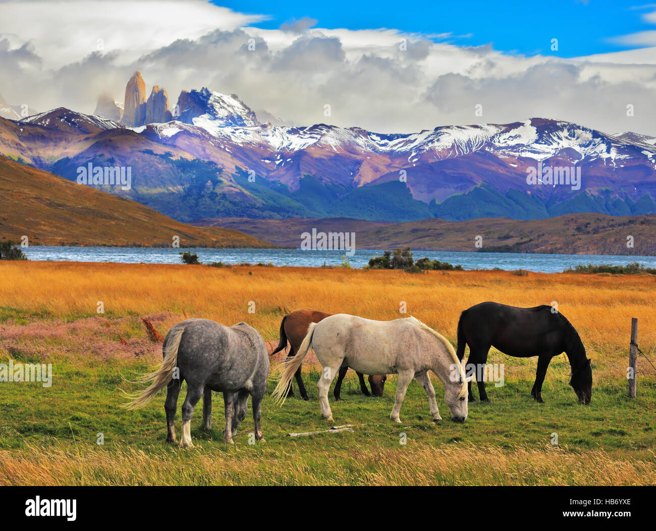 Impressive landscape in Chile Stock Photo - Alamy