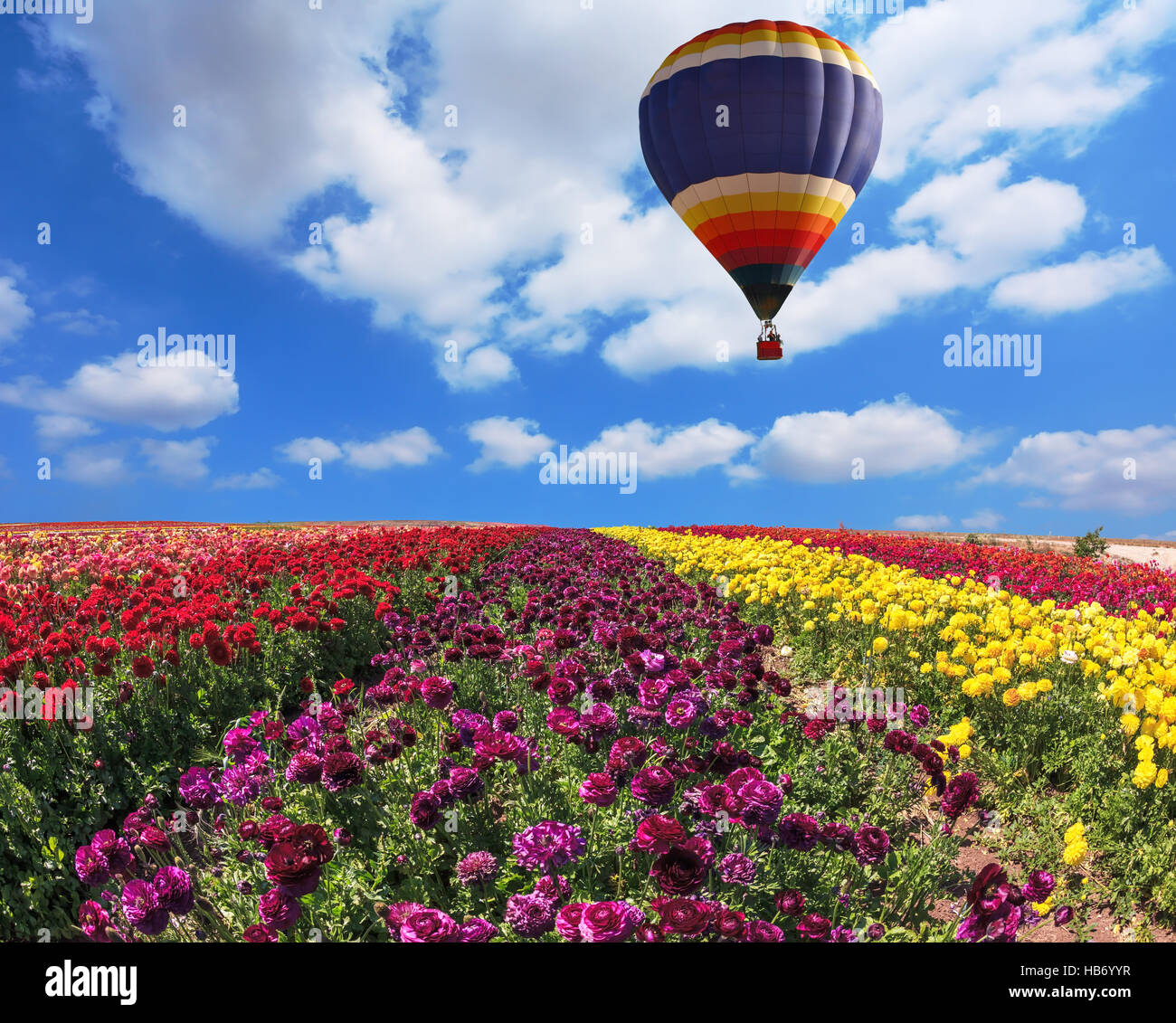 Big Red Balloon Stock Photos & Big Red Balloon Stock Images - Alamy