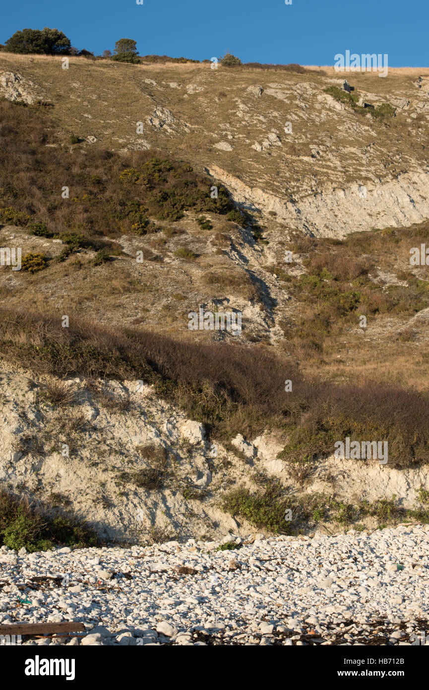 Ballard Cliff, Swanage, Dorset Stock Photo - Alamy