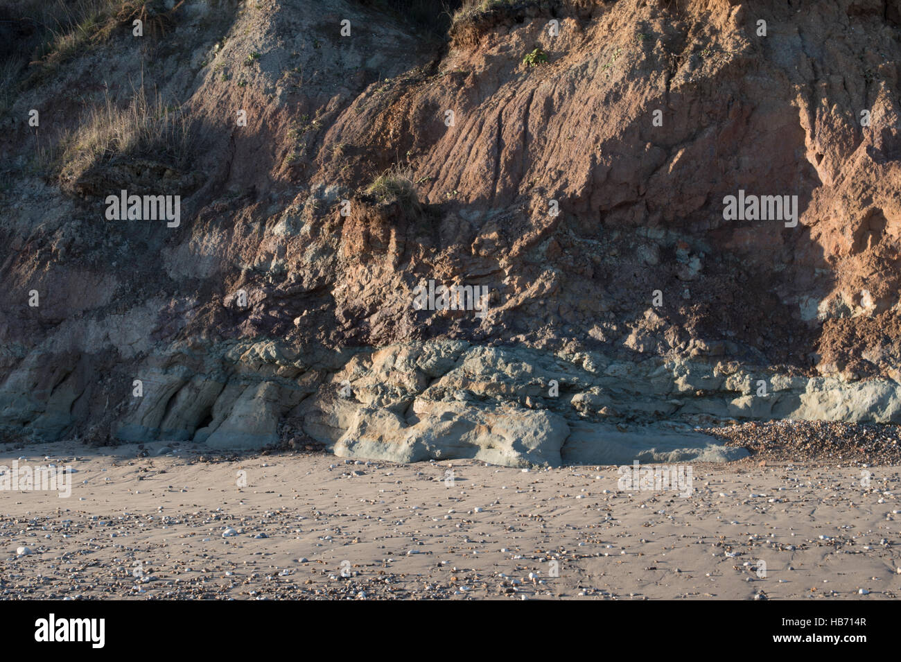 Wealden Cliffs, Swanage, Dorset, UK Stock Photo - Alamy