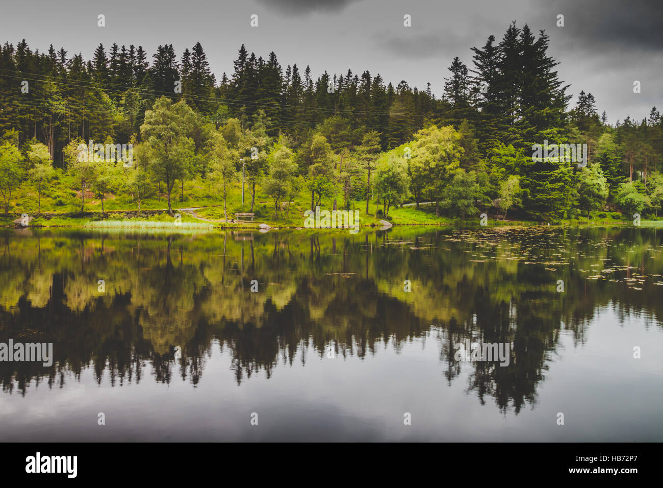 Reflection in the lake Stock Photo - Alamy