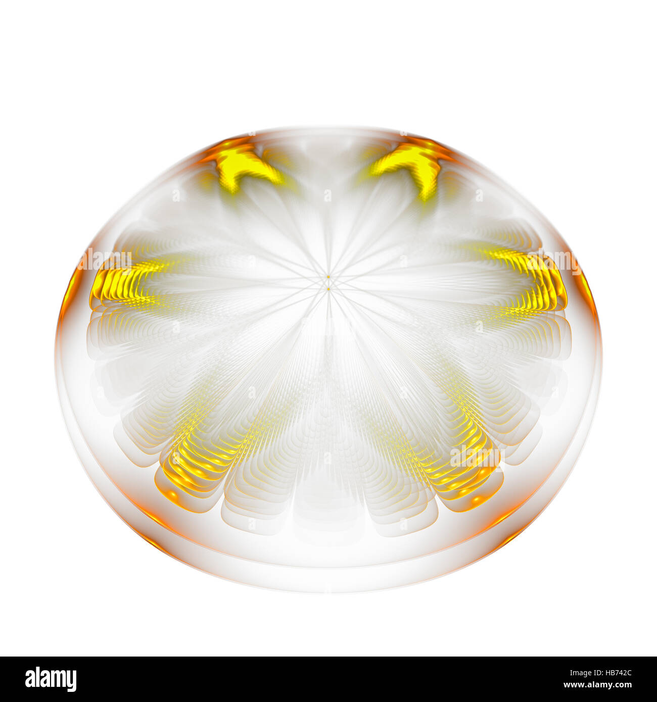 Yellow floral disc hi-res stock photography and images - Alamy