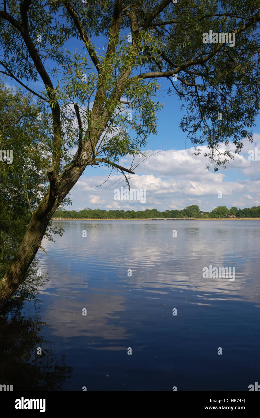 Looking over Engine Pool at Earlswood Lakes to the earth dam Stock ...
