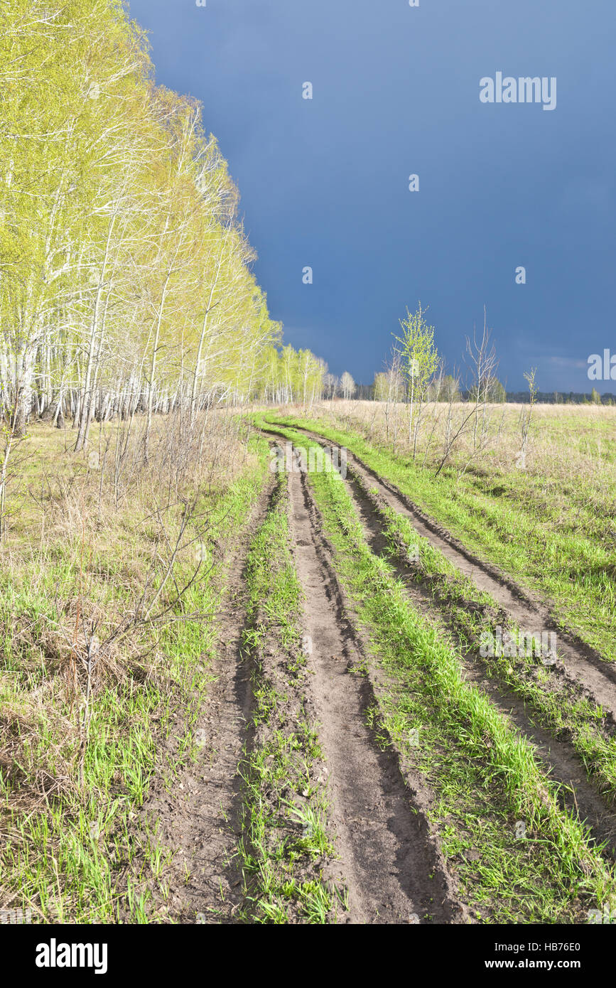 road in field Stock Photo - Alamy