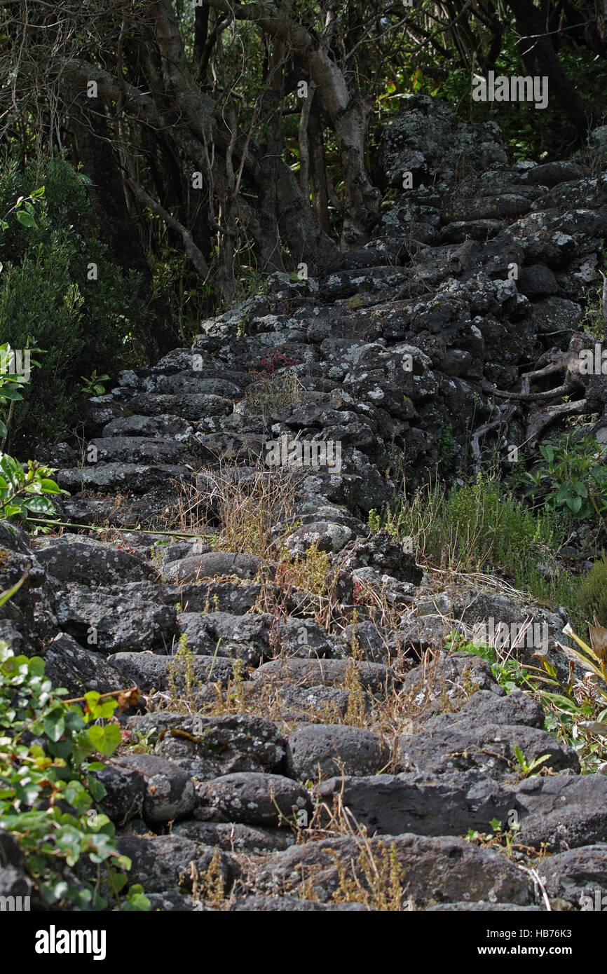 Basalt stone stairs on Pico island, Azores Stock Photo - Alamy