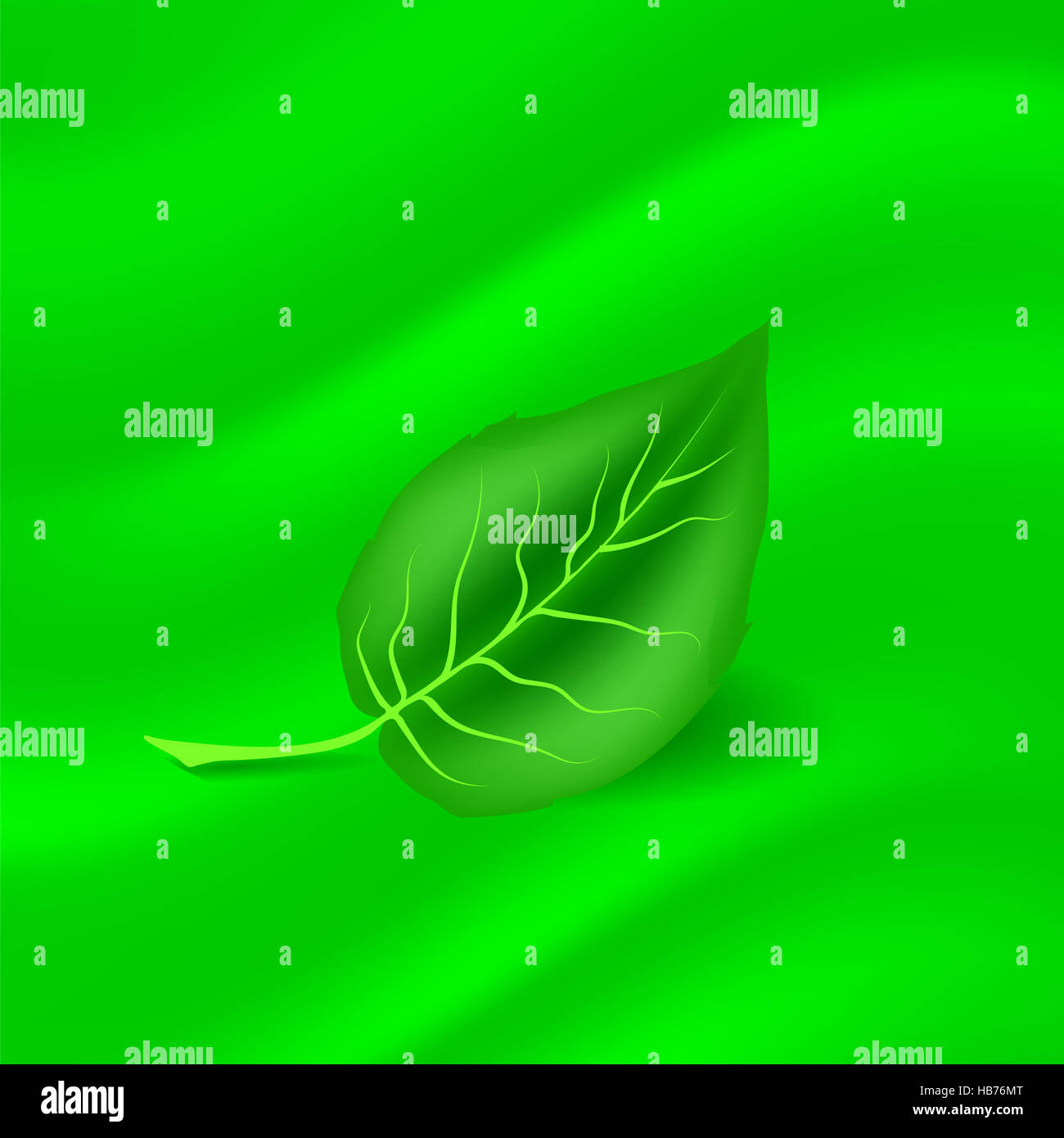 Spring Green Leaf Stock Photo - Alamy