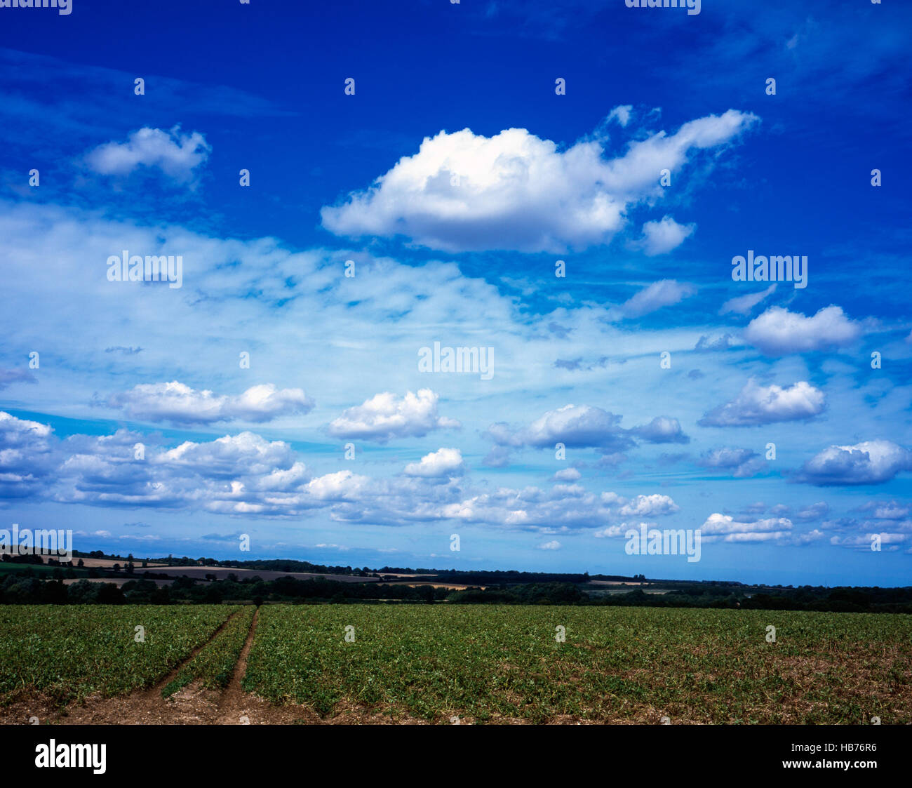 Castle acre village hi-res stock photography and images - Alamy