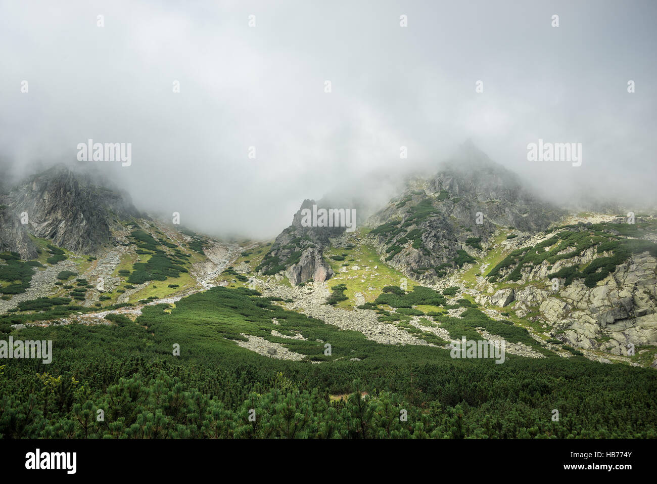 Tatra gebirge hi-res stock photography and images - Alamy