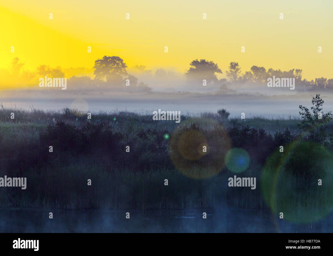 Fog on the river Stock Photo - Alamy