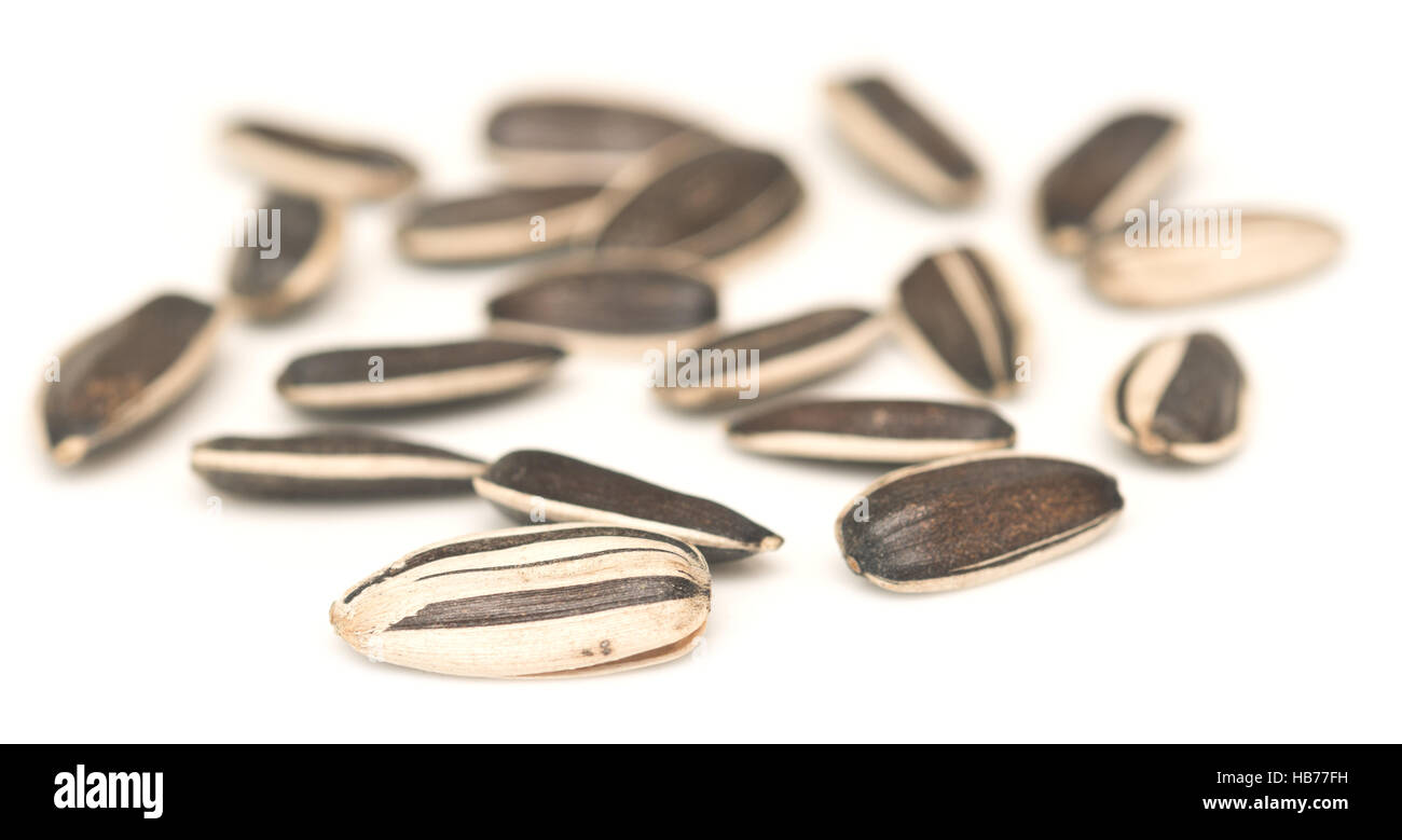 raw sunflower seeds Stock Photo - Alamy