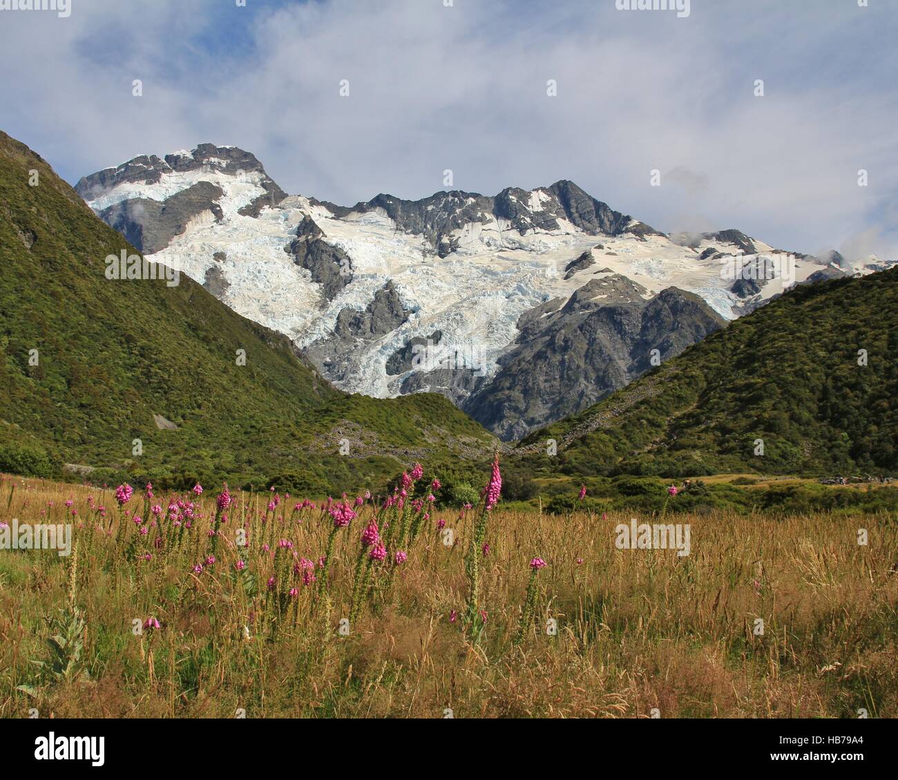 Summer in the Southern Alps Stock Photo - Alamy