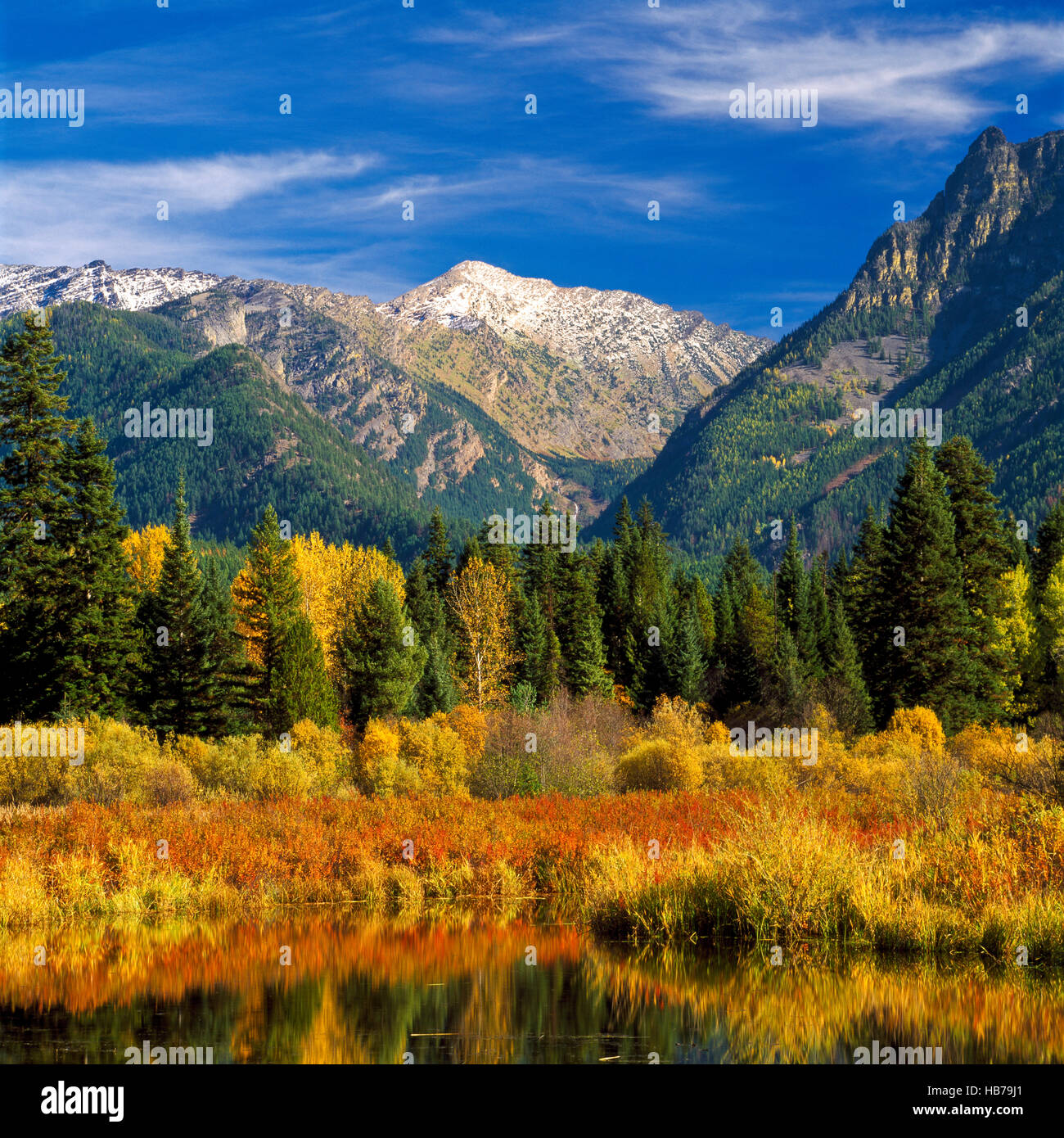 wetland and fall colors below the cabinet mountains near troy, montana ...