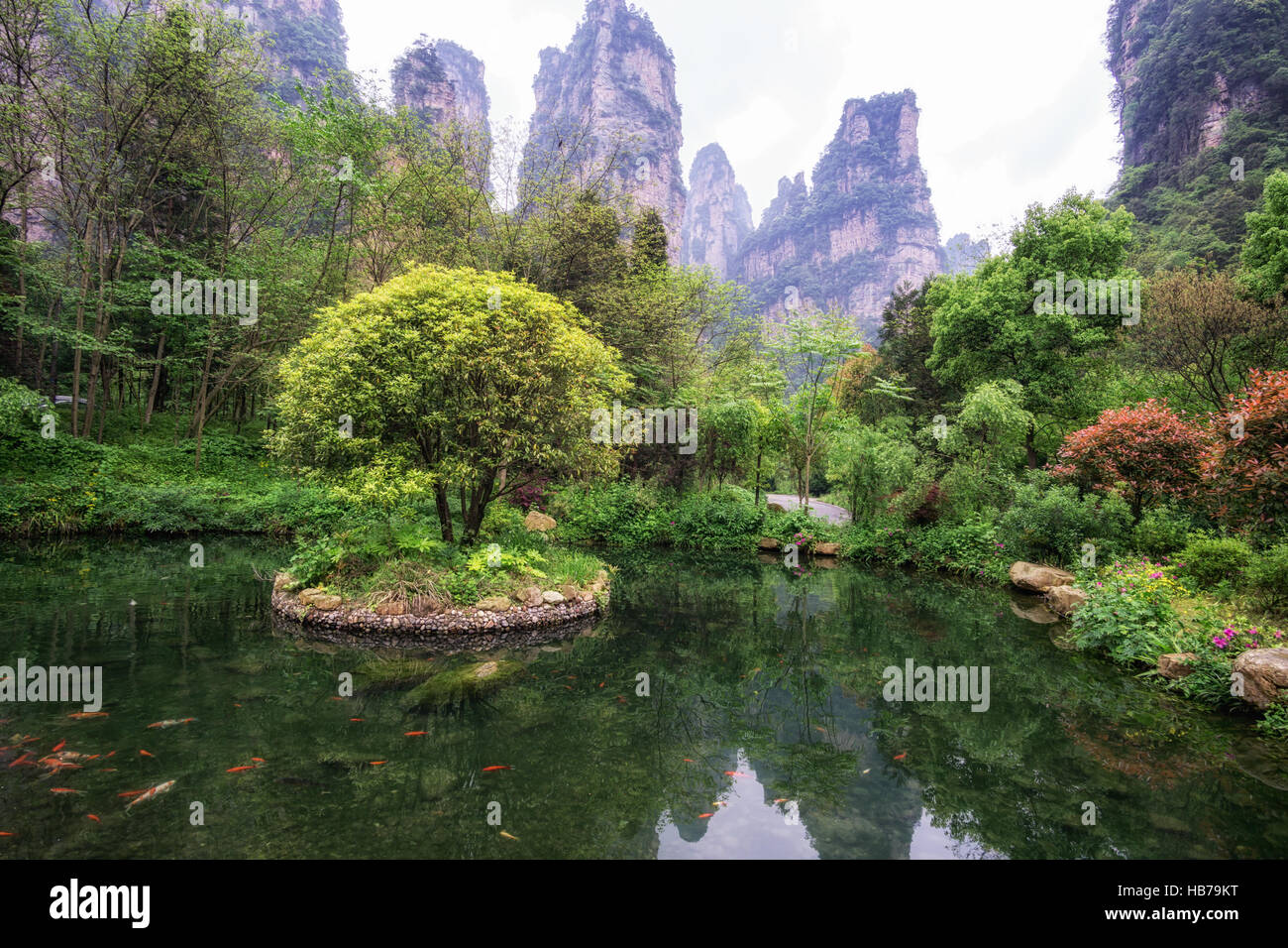 small pond with reflection in yangjiajie Stock Photo - Alamy