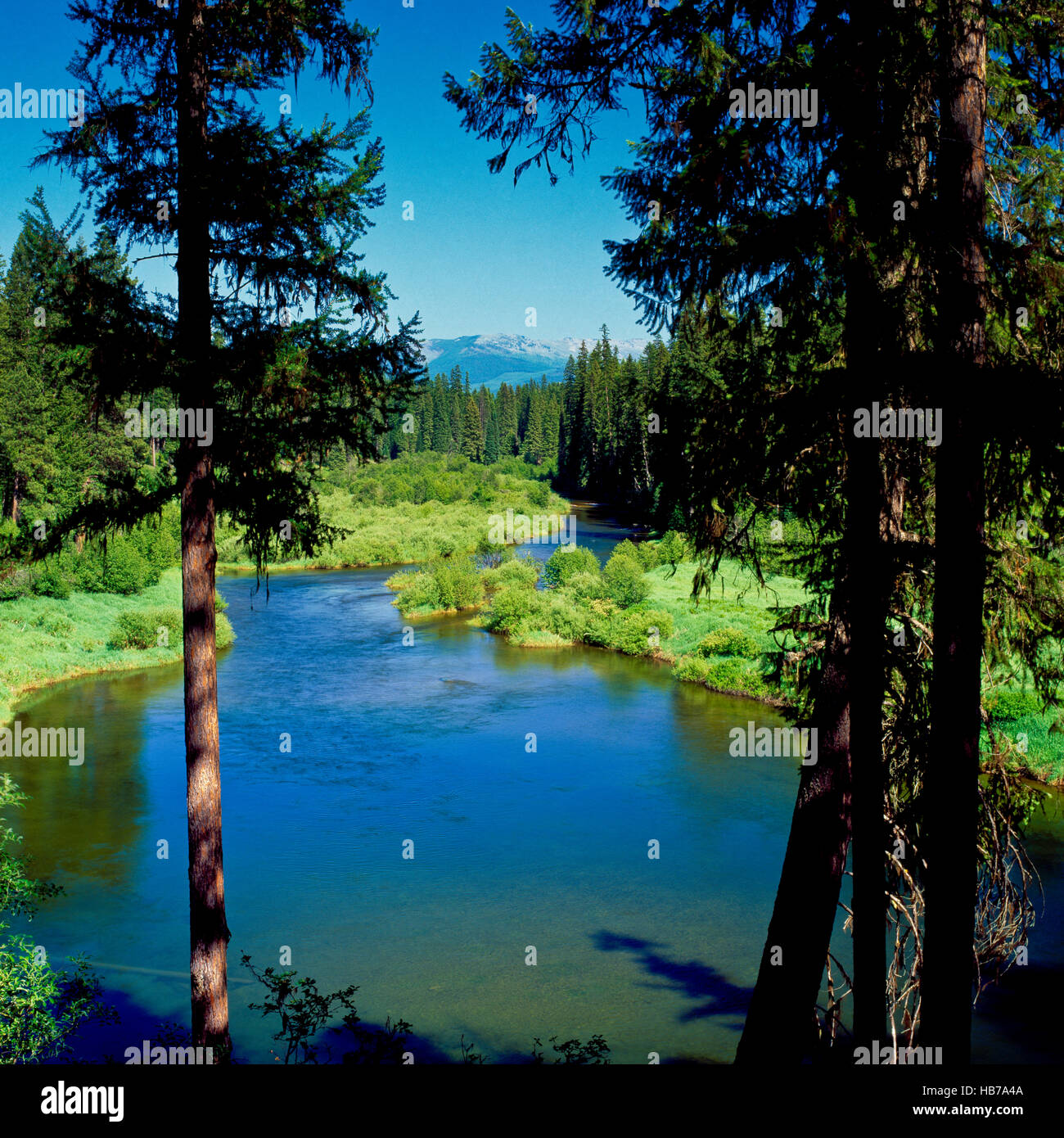 Yaak hi-res stock photography and images - Alamy