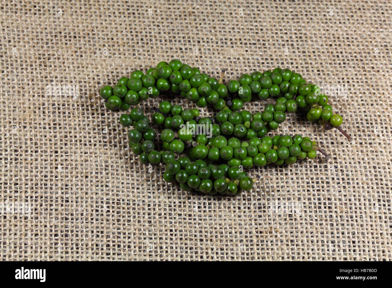 Green Pepper Berries Stock Photo - Alamy