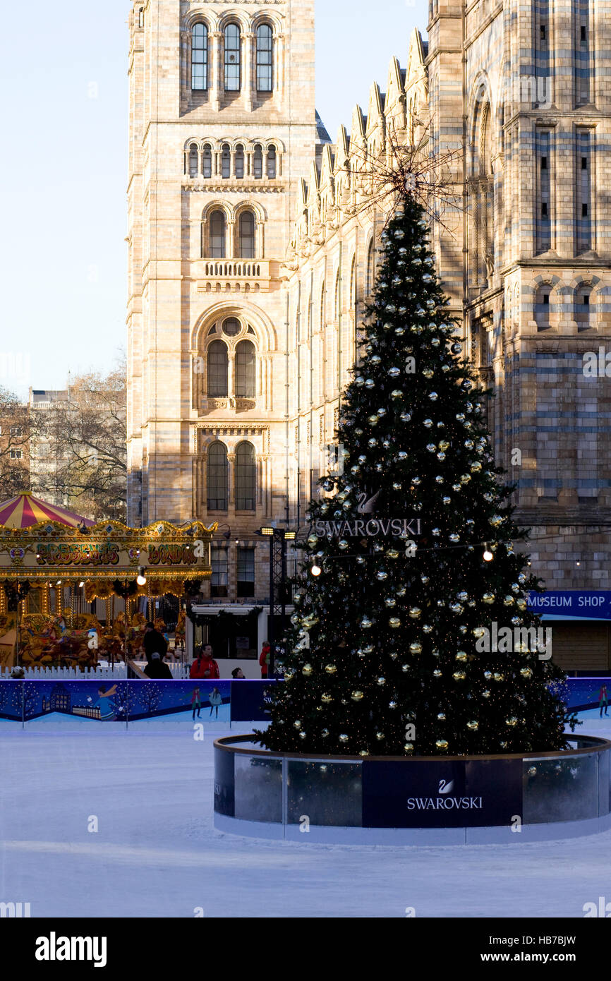 Tree rinks hi-res stock photography and images - Alamy