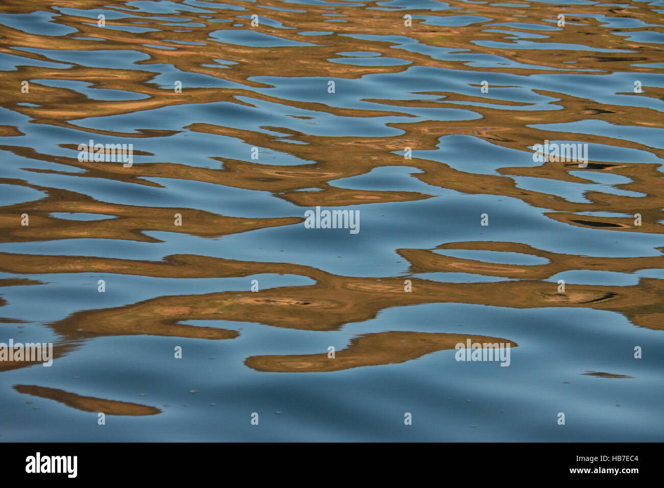 Too beautiful to disturb the gently moving water reflects the golden ...