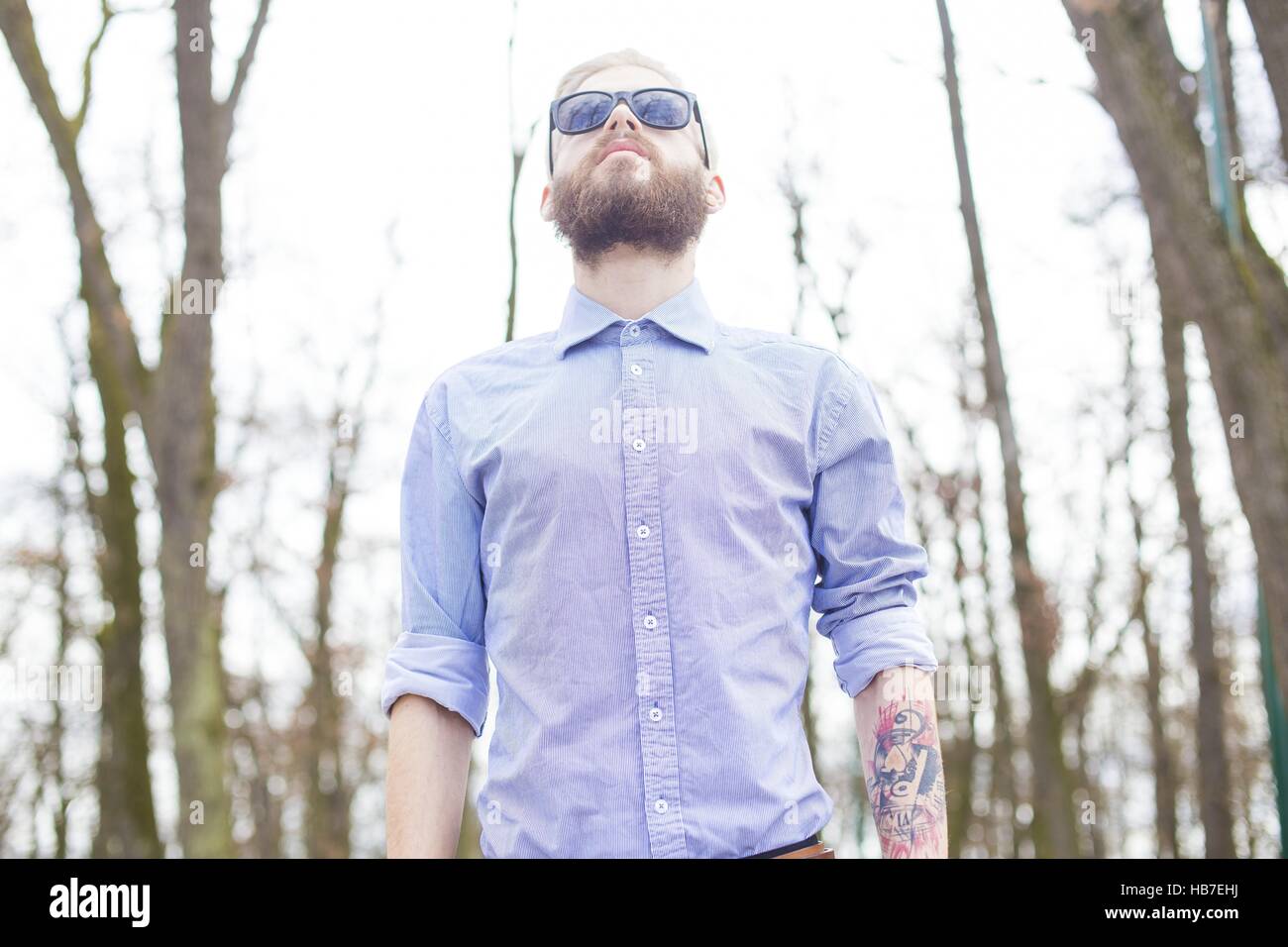 Man walking in a sunny day in the forest Stock Photo - Alamy