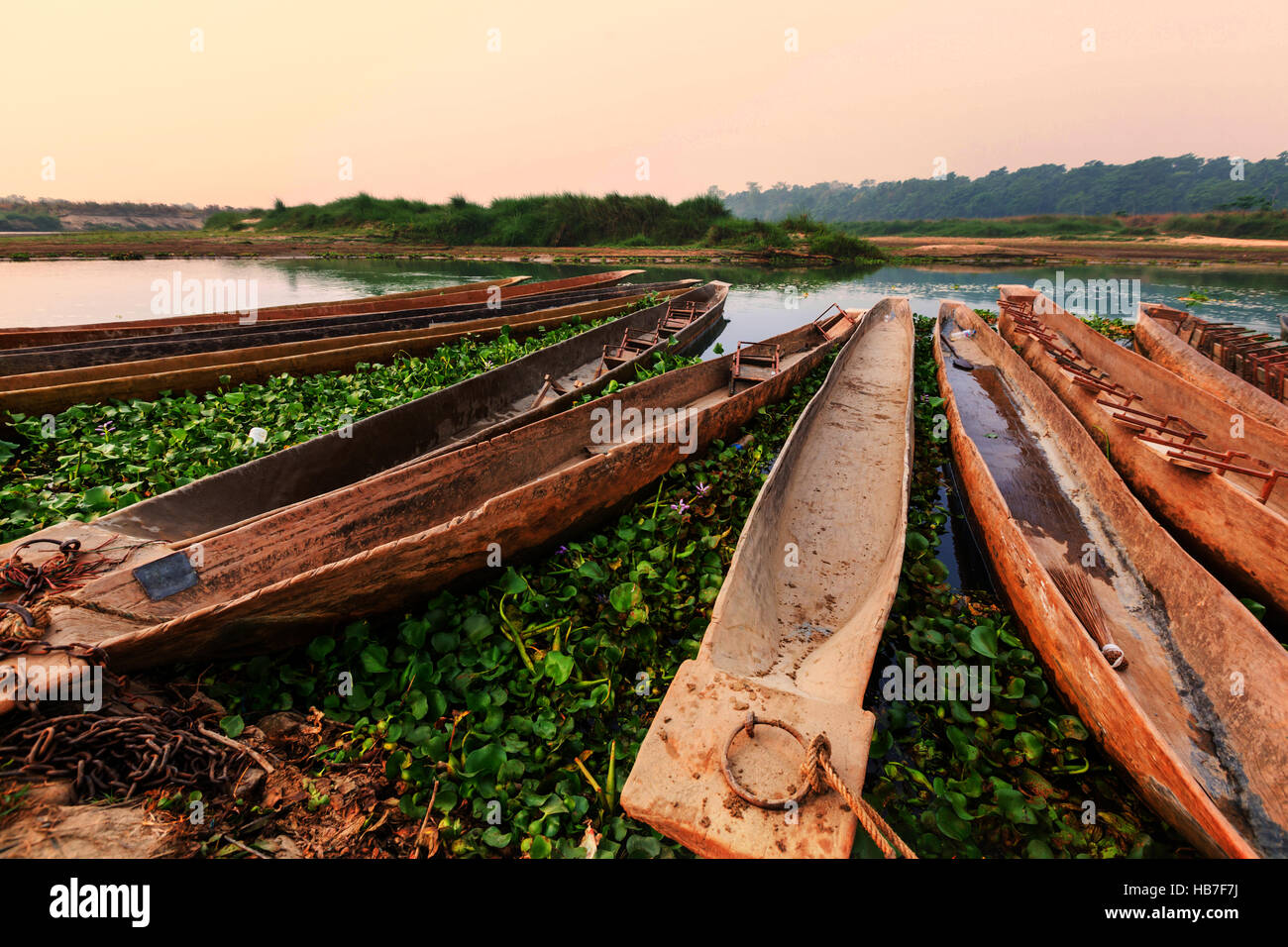 Tribal chi hi-res stock photography and images - Alamy