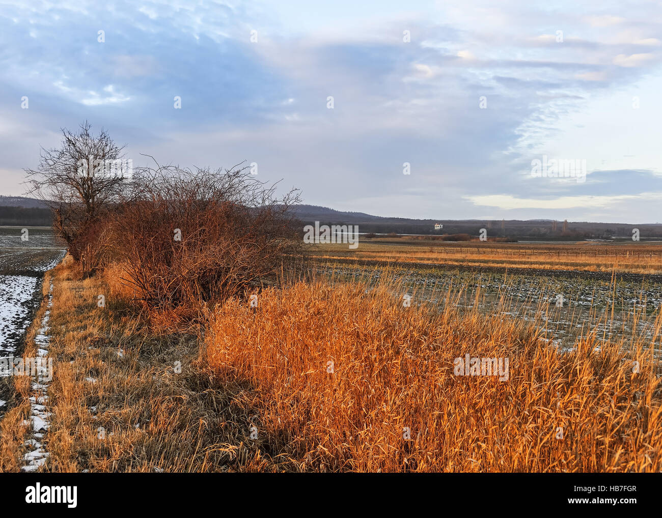 Strip fields hi-res stock photography and images - Alamy