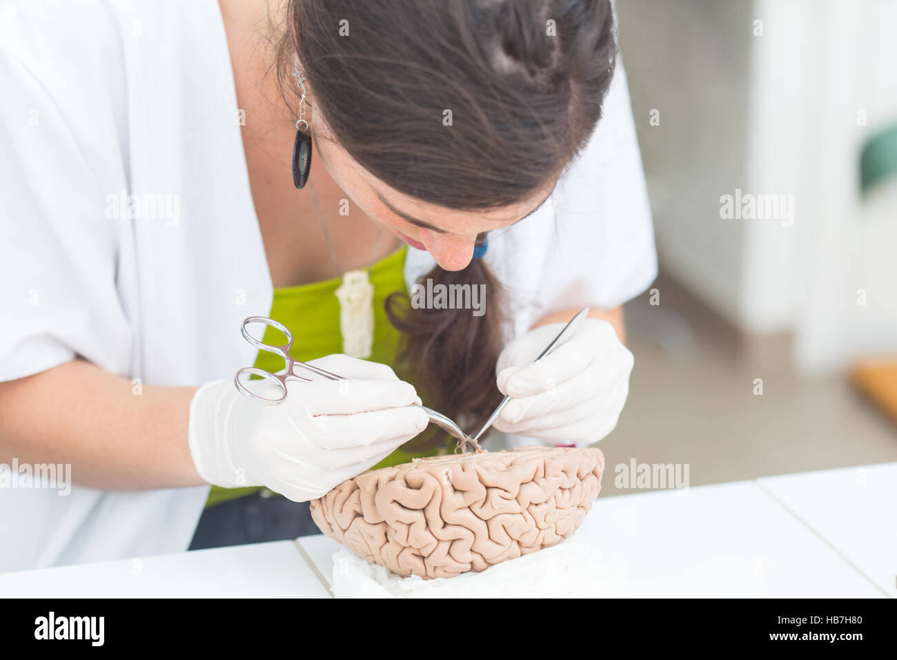 Dissection tray hi-res stock photography and images - Alamy