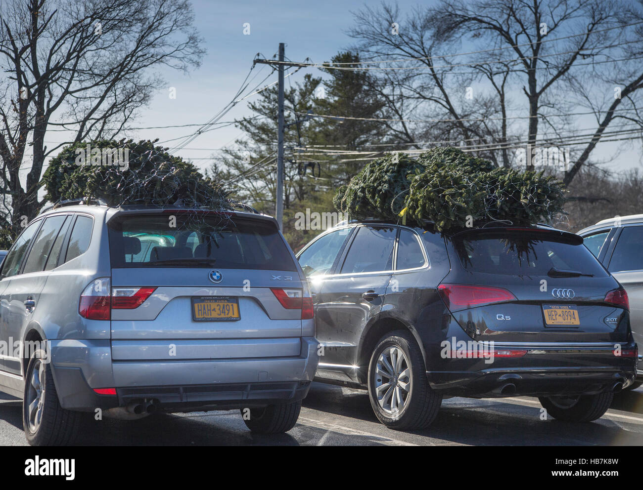 Car with trees hi-res stock photography and images - Alamy