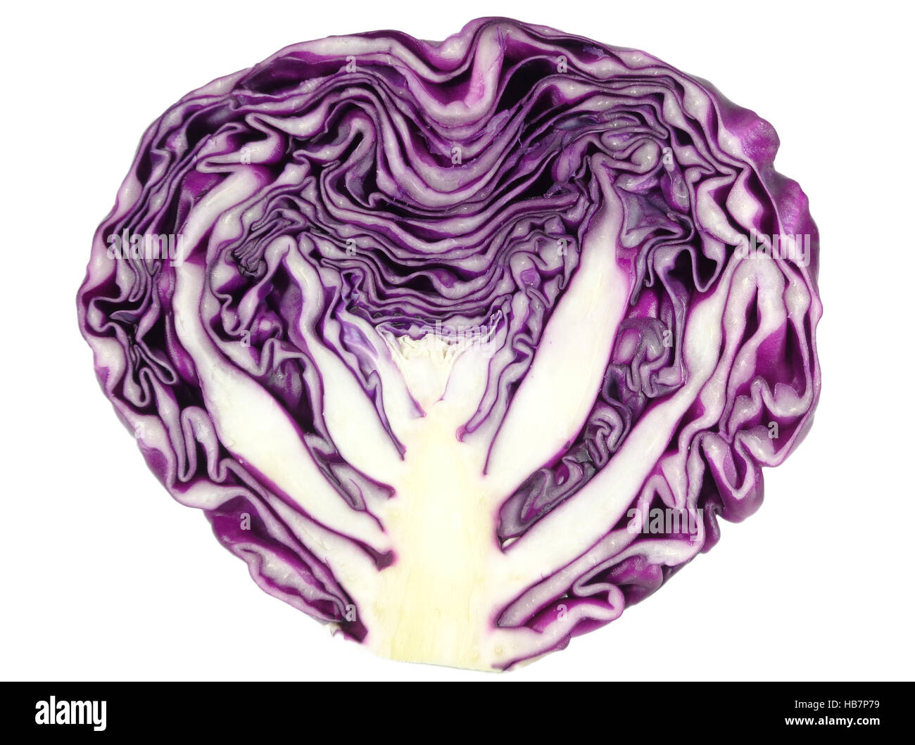 Close up vibrant purple cabbage hi-res stock photography and images - Alamy