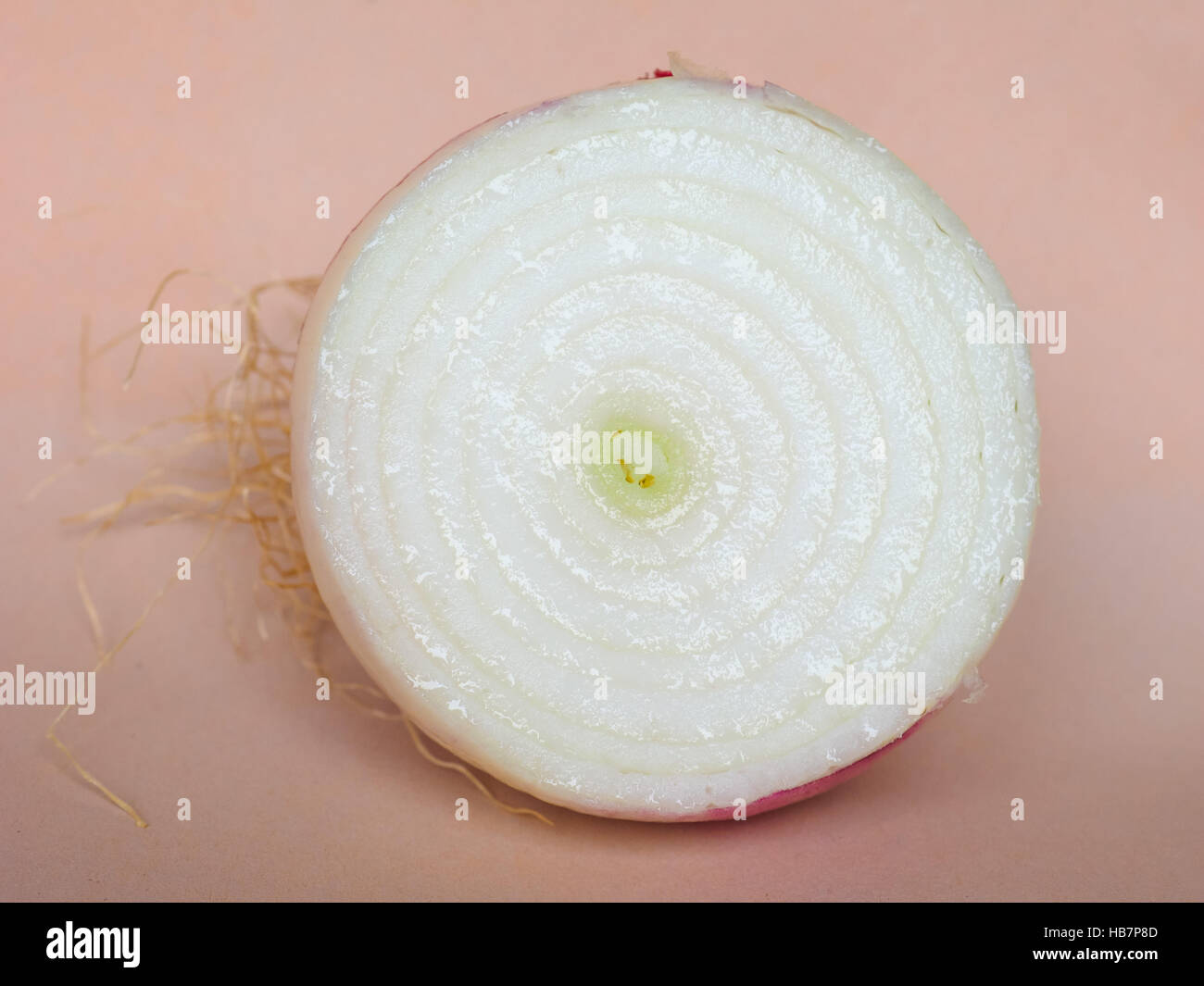 Onion vegetable sliced Stock Photo - Alamy