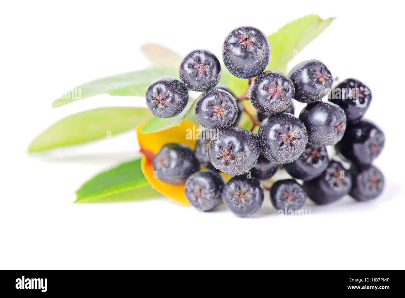 Macro shot food Cut Out Stock Images & Pictures - Alamy