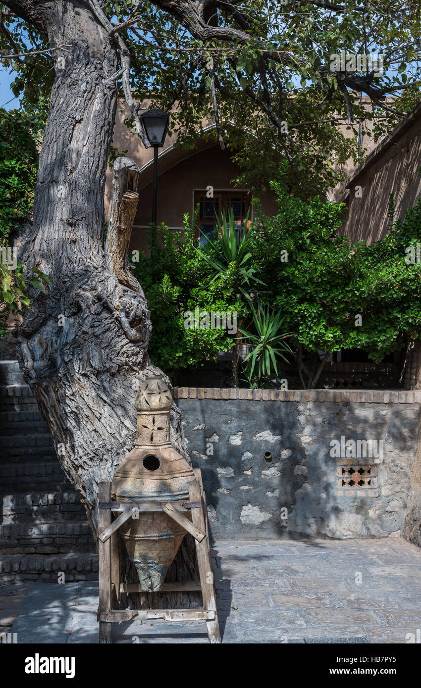 Old tree in Historical Fin Garden in Kashan city, Iran Stock Photo - Alamy