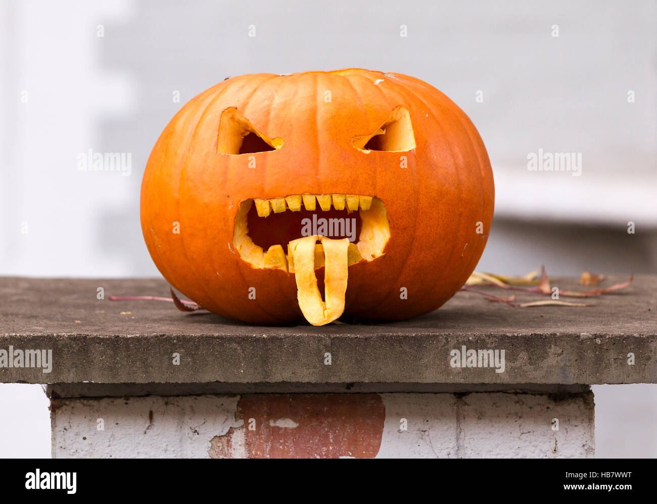 Open mouth pumpkin hi-res stock photography and images - Alamy