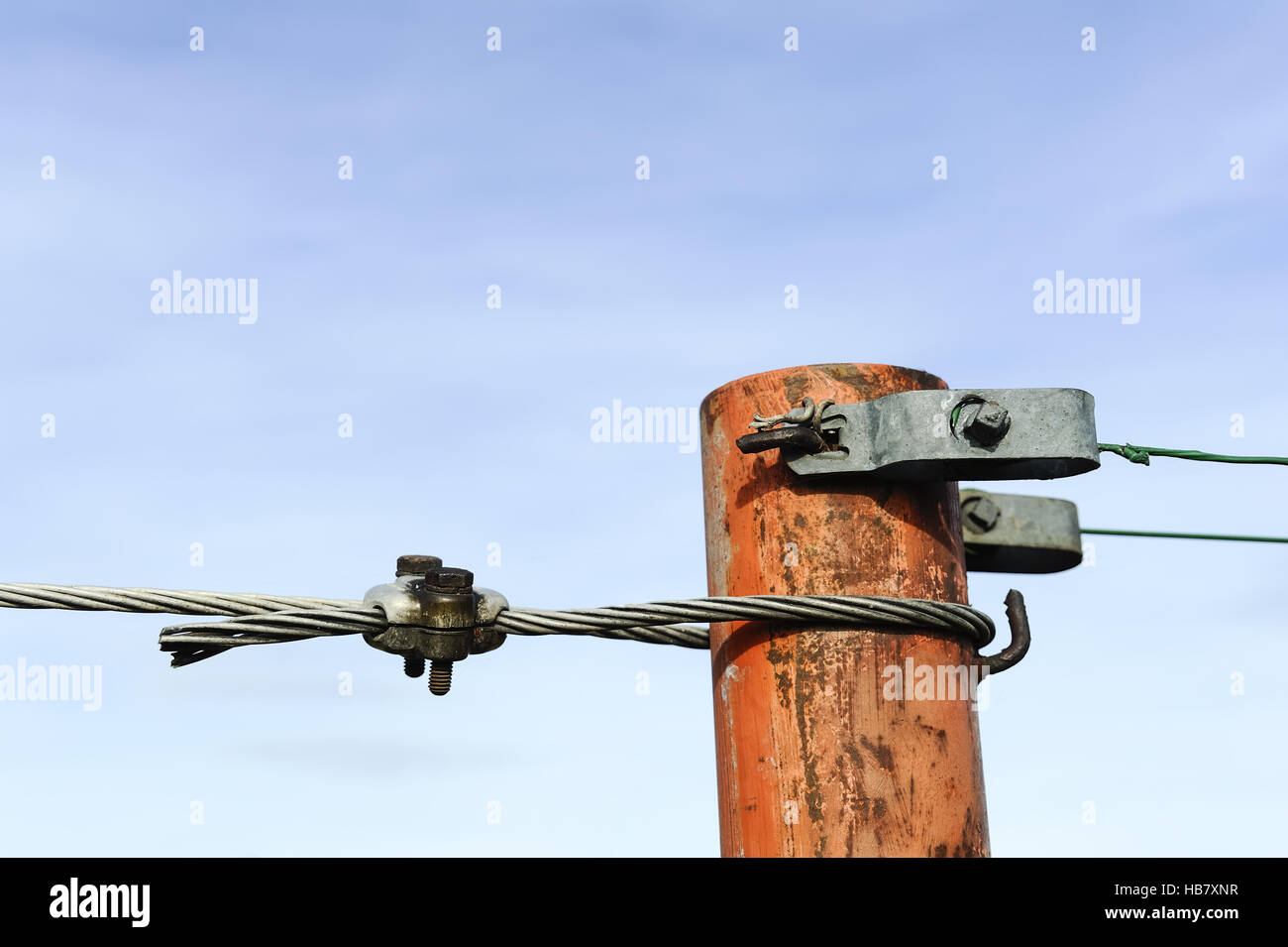 Tension wire with uprights in Vineyard Stock Photo - Alamy