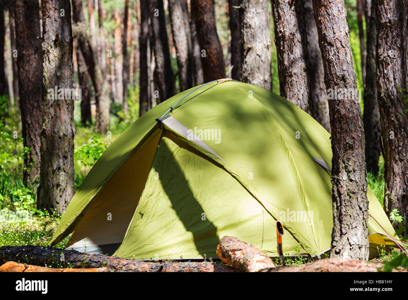 Tent in forest Stock Photo - Alamy