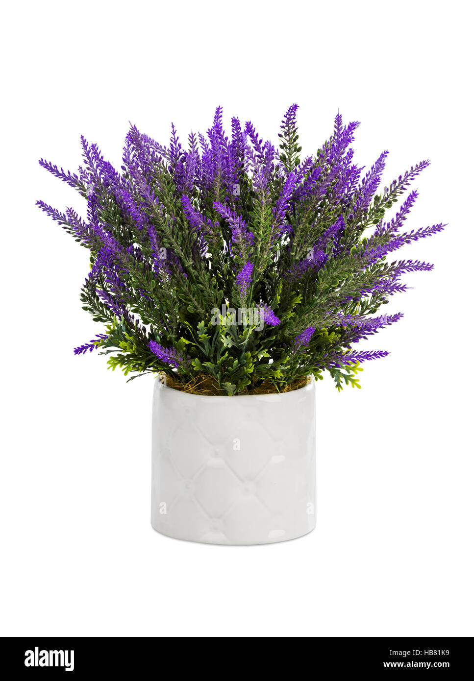 Lavender in vase Stock Photo - Alamy