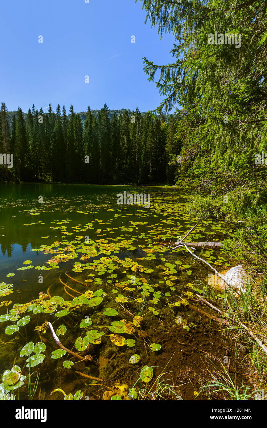 Snake Lake in Durmitor - Montenegro Stock Photo - Alamy