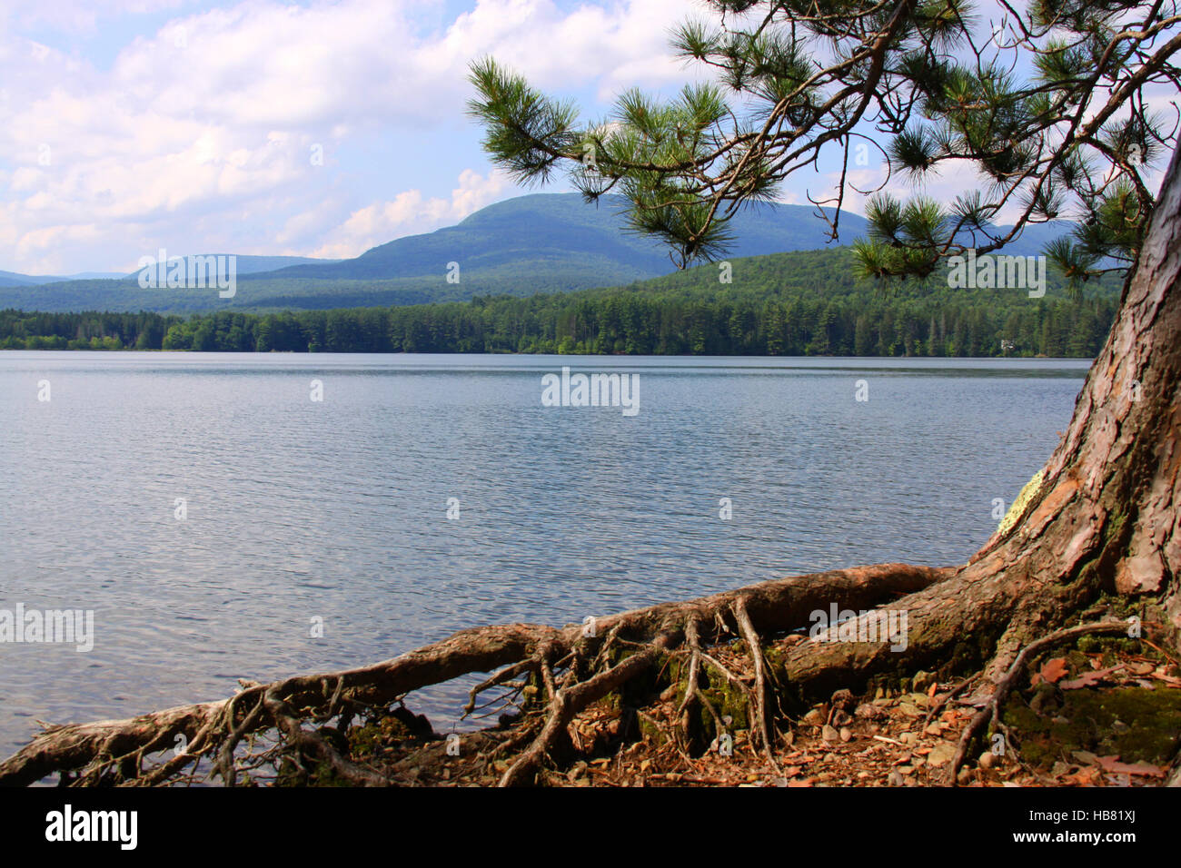 Summer landscape of a mountain lake, Catskills, NY Stock Photo - Alamy
