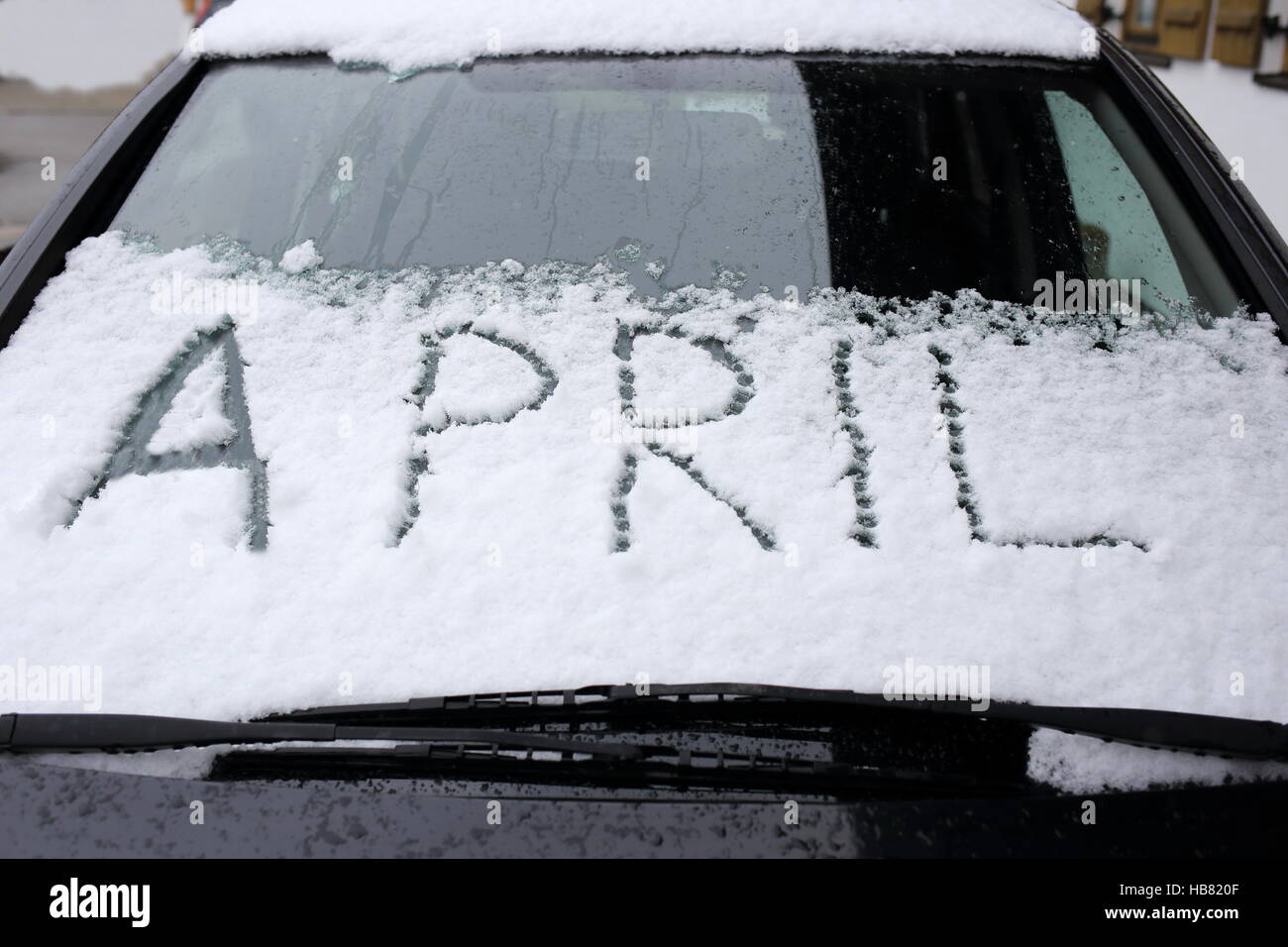 snow in april Stock Photo - Alamy