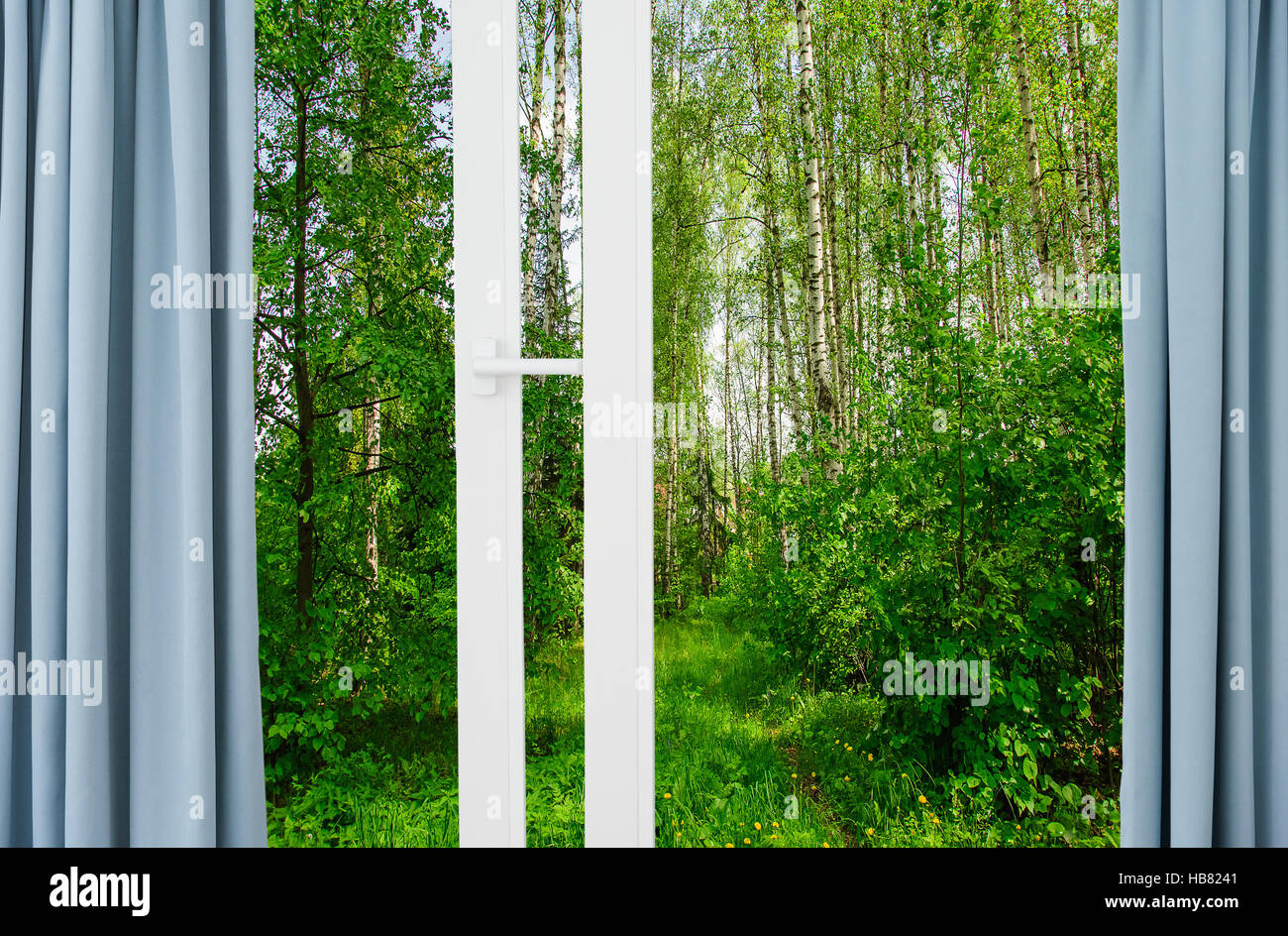 nature landscape with view through window Stock Photo - Alamy