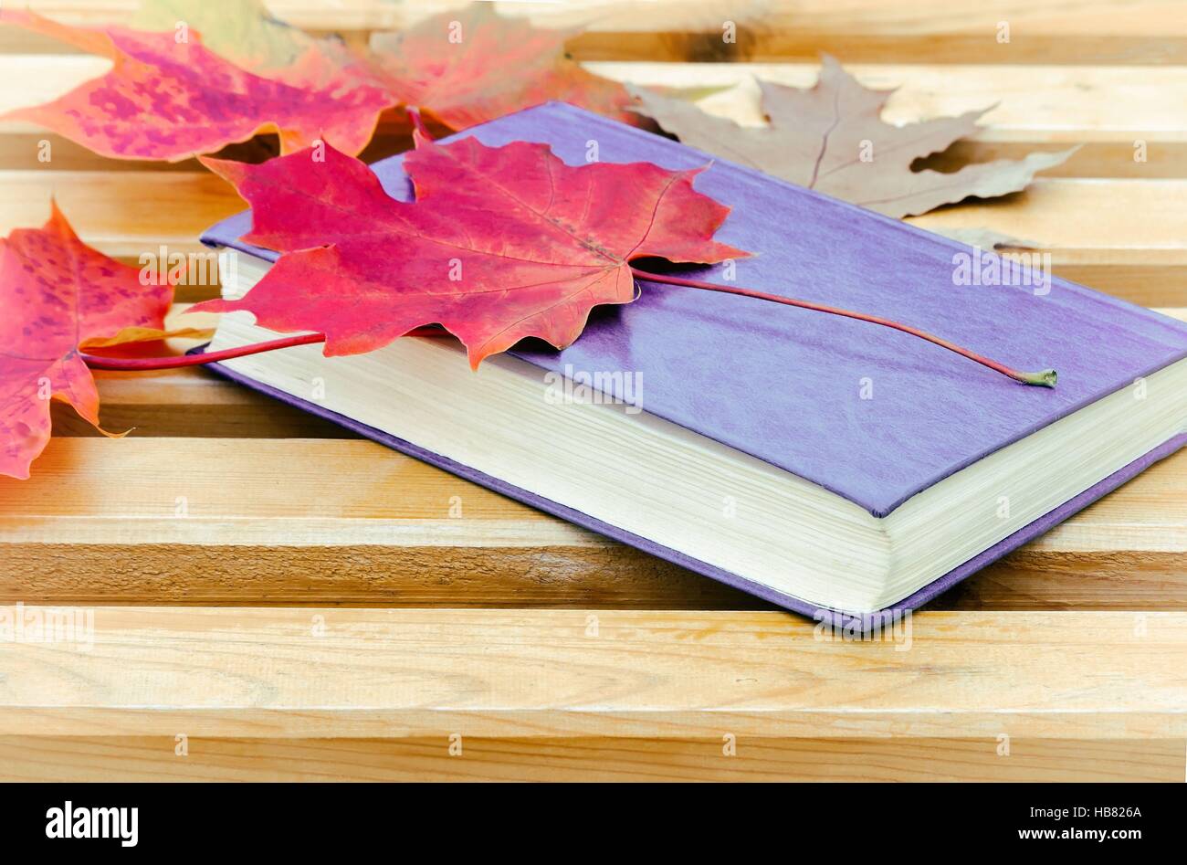 Book and fallen leaves on a Park bench Stock Photo - Alamy