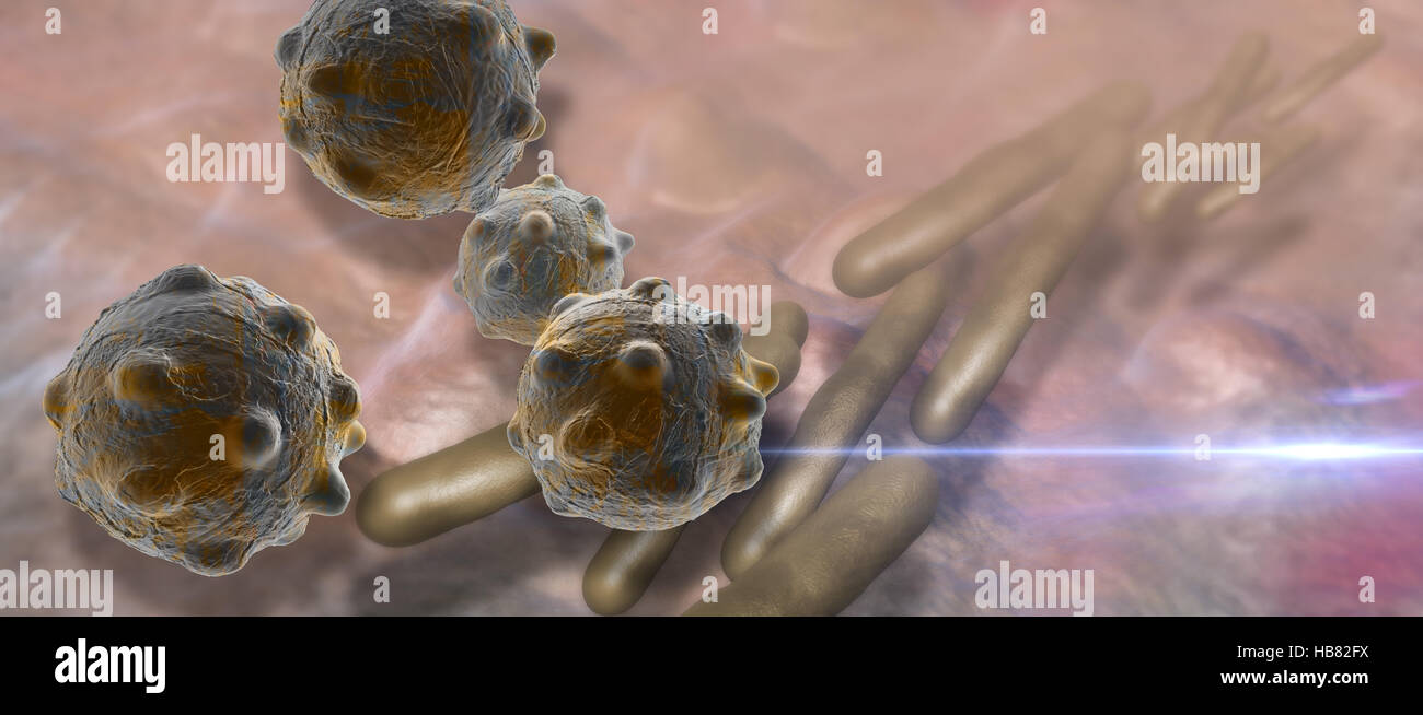 Virus and bacterium Stock Photo - Alamy