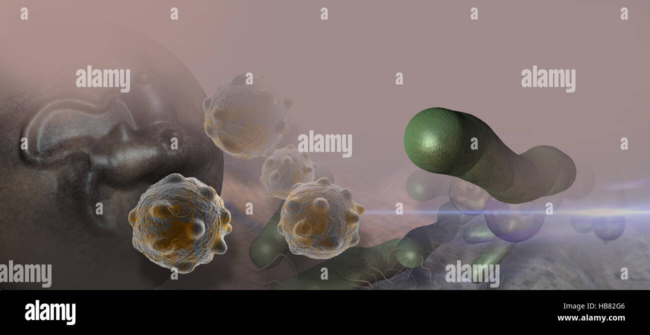 Virus and bacterium Stock Photo - Alamy