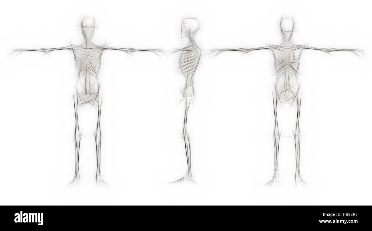 Human skull rear view hi-res stock photography and images - Alamy