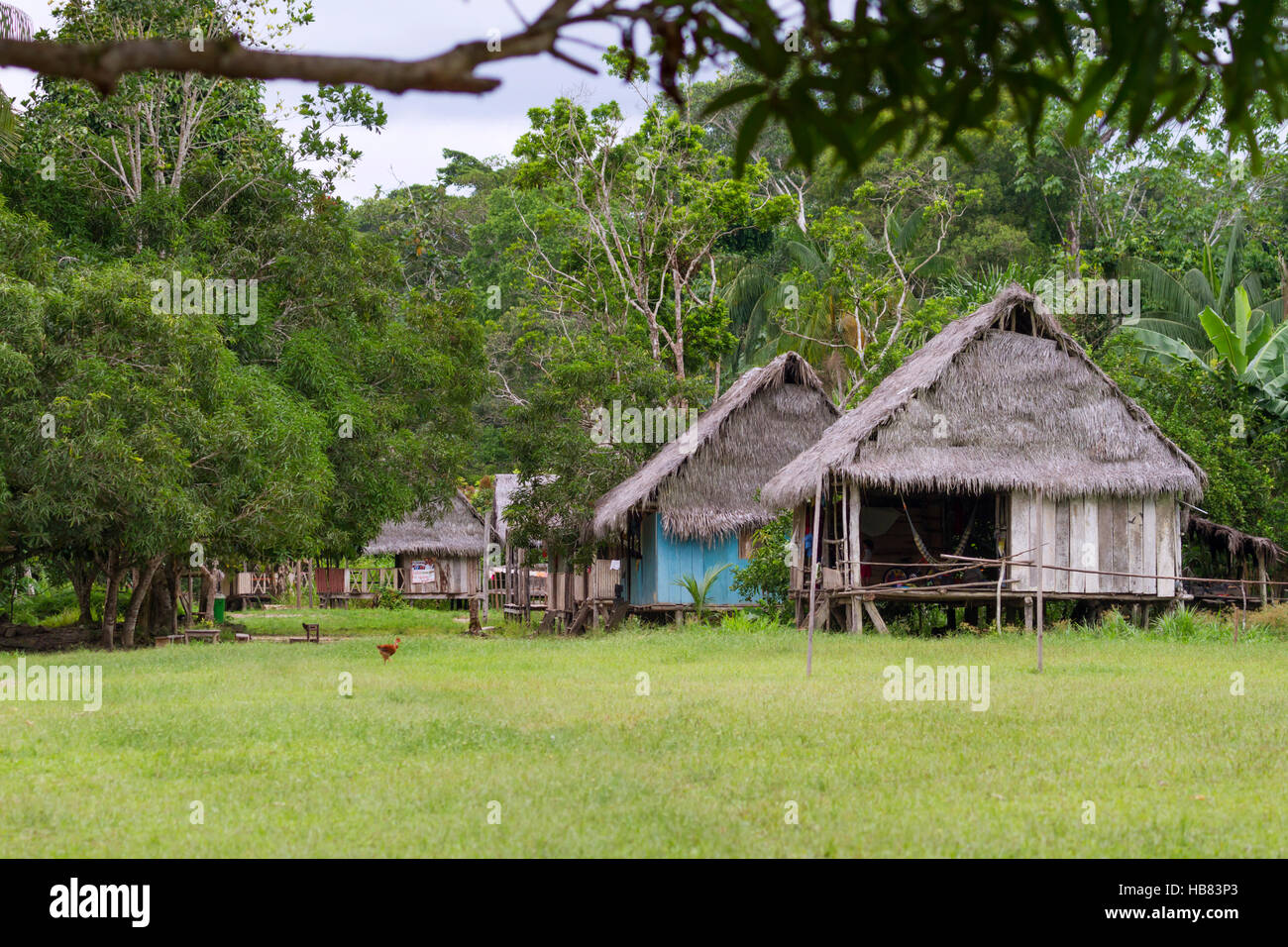 Yarina hi-res stock photography and images - Alamy