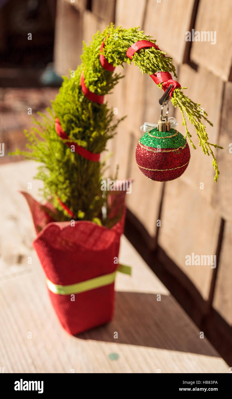 Ornament hanging from tree hi-res stock photography and images - Alamy